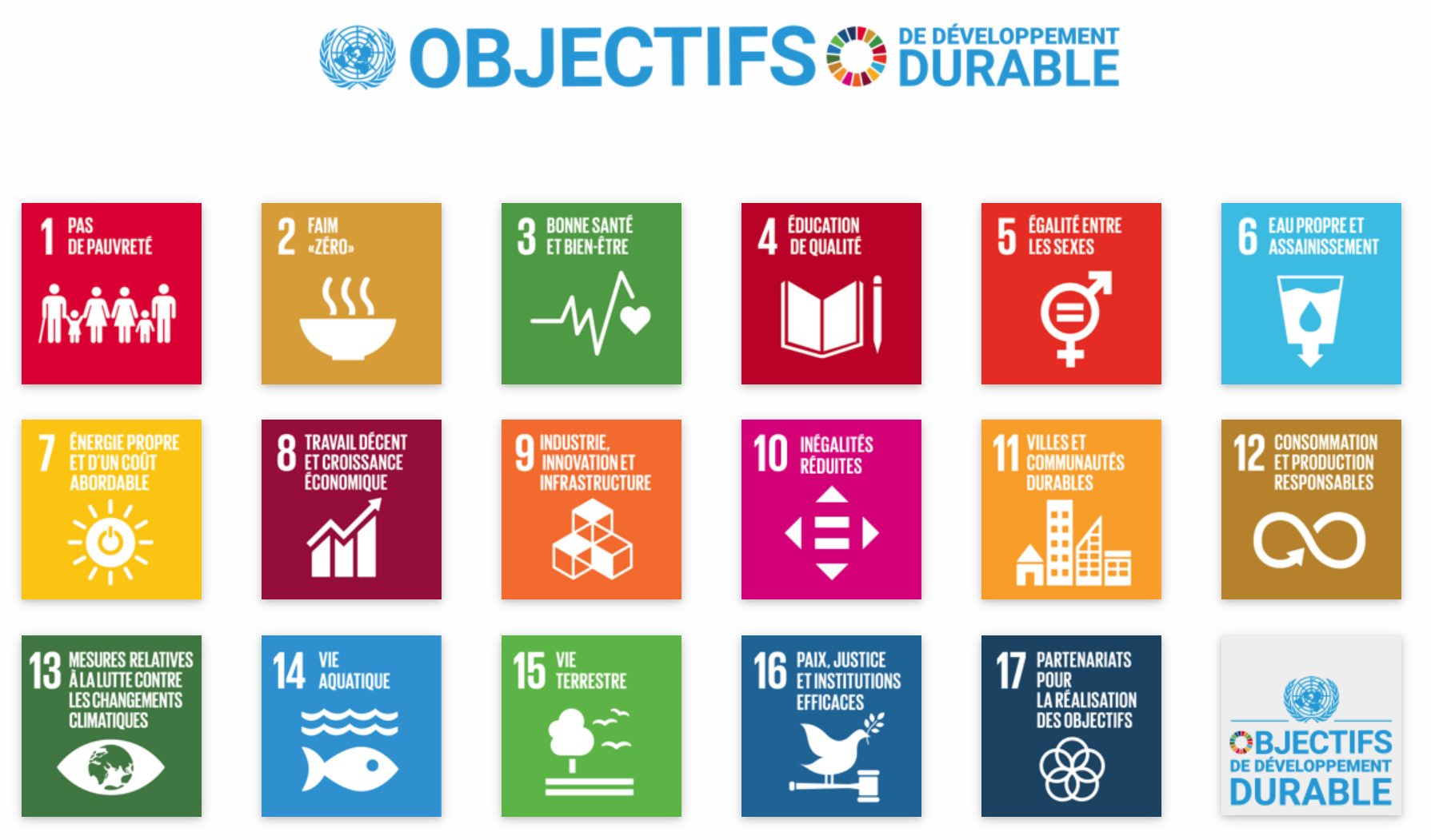 LE DÉVELOPPEMENT DURABLE, CA VEUT DIRE QUOI... - DEMAIN à CORSIER